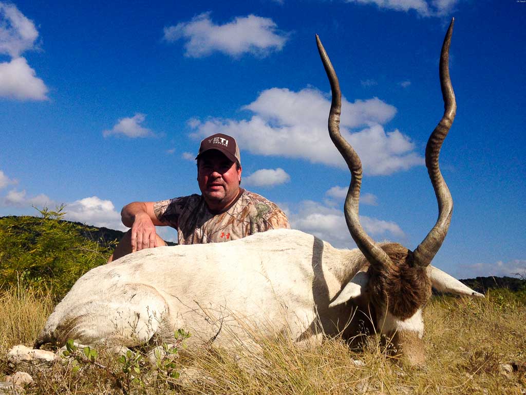 addax-exotic-hunts - OX Ranch