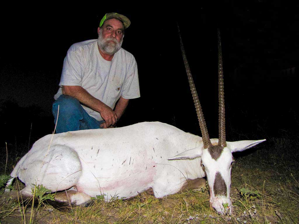 arabian oryx hunts - OX Ranch