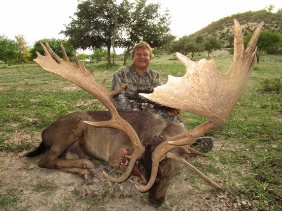 chocolate fallow deer hunting - OX Ranch