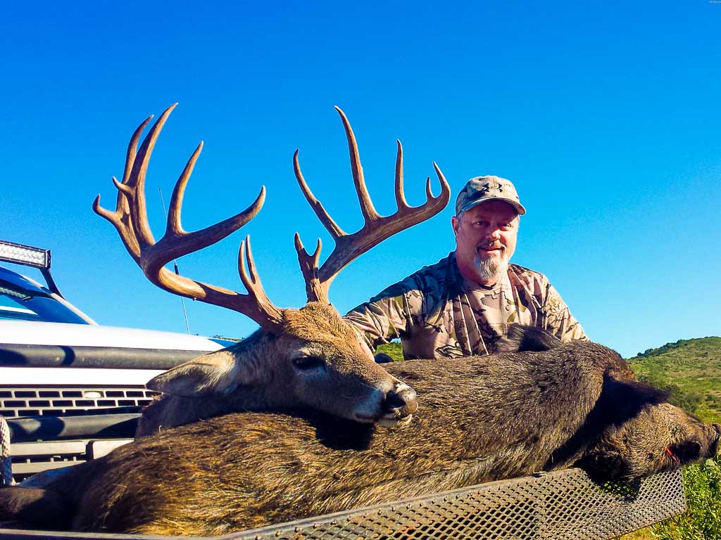 white-tail-hunting-in-Texas - OX Ranch