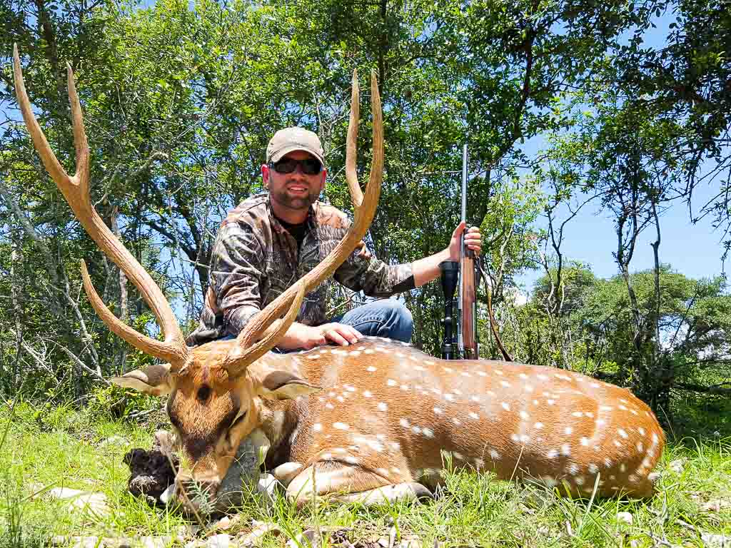 chital-texas-hunts - OX Ranch