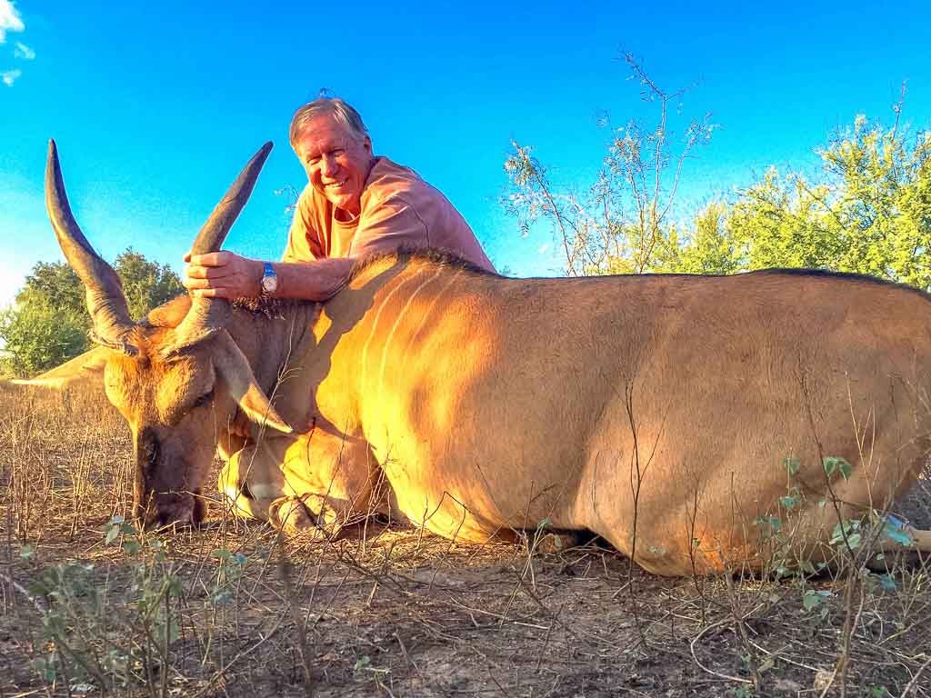 eland-antelope-hunting - OX Ranch