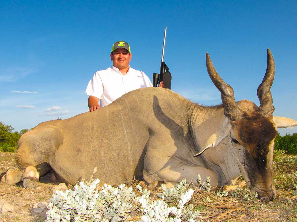 Eland-bull-hunts - OX Ranch