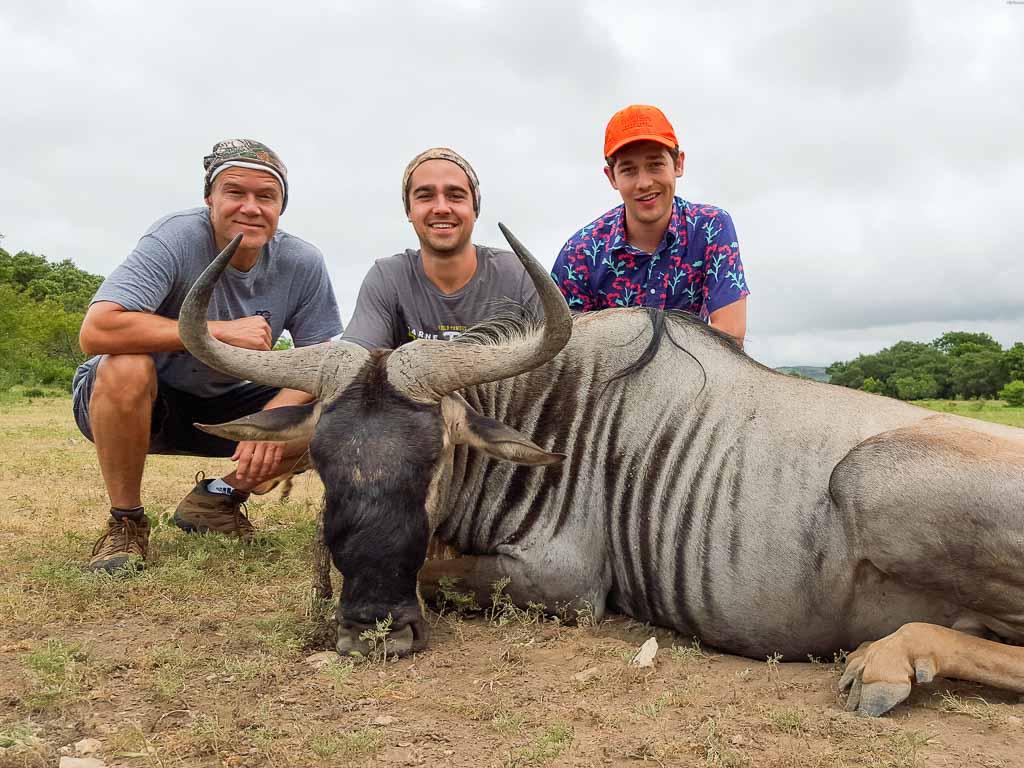 family wildebeest hunting - OX Ranch