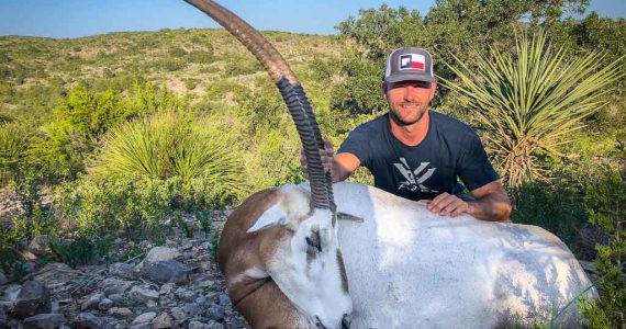 Scimitar Horned Oryx Hunting | 18,000 Acres | Ox Ranch | Texas
