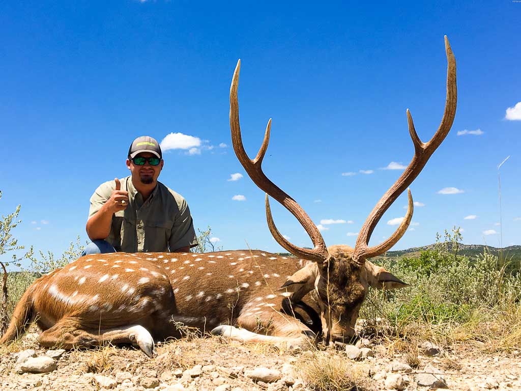 texas-chital - OX Ranch