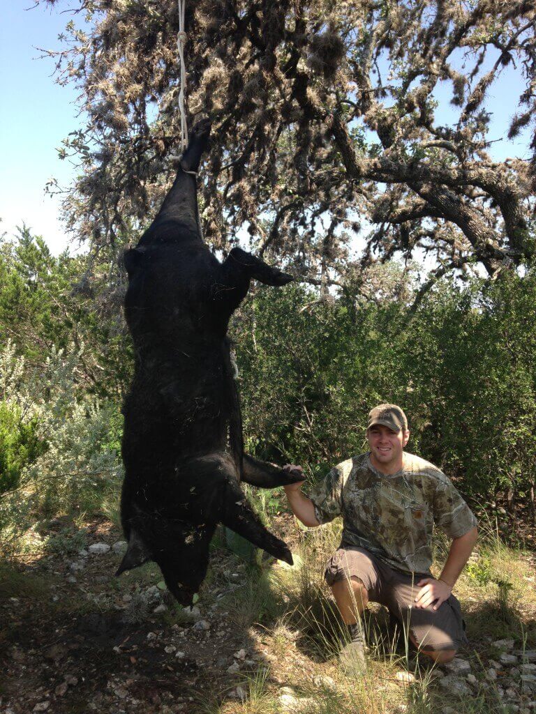 pig-hunts - OX Ranch