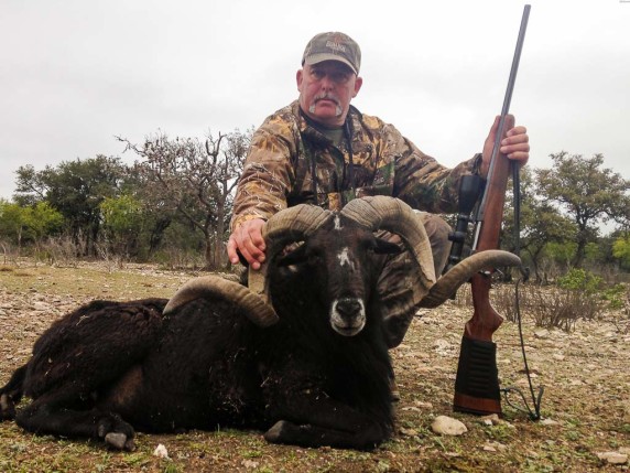 blackhawaiiansheephunting - OX Ranch