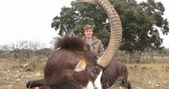 Sable Hunting | 60+ Species Available for Hunt | Ox Ranch | Texas