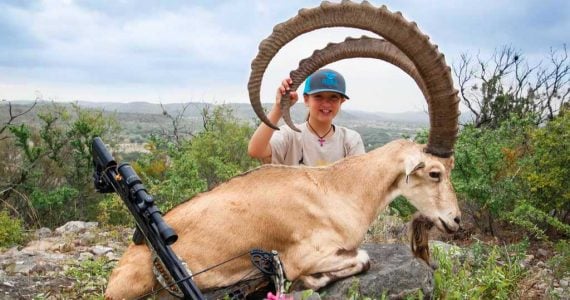 Ibex Hunting | 60+ Species Available for Hunt | Ox Ranch - Texas